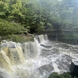 Viaduct Park, Ohio - 487 Reviews, Map | AllTrails