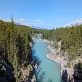 Cline River Trail, Alberta, Canada - 383 Reviews, Map | AllTrails