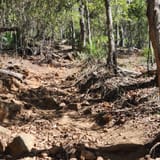 Mount Larcom Walking Trail, Queensland, Australia - 253 Reviews, Map ...