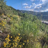 Solamere Loop, Utah - 637 Reviews, Map | AllTrails