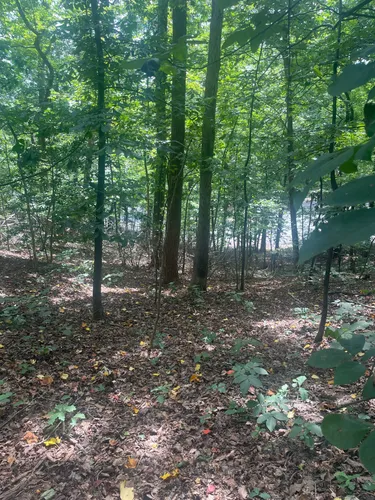 Best Hikes and Trails in Observatory Hill Trail System | AllTrails