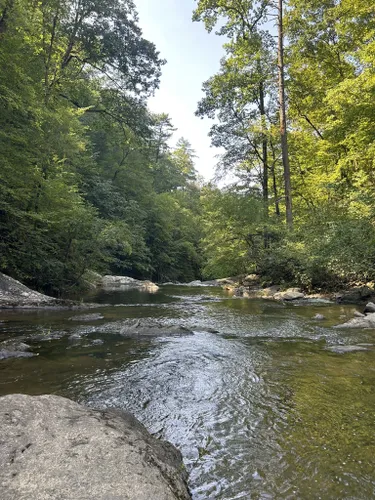 10 Best Waterfall Trails in Cherokee National Forest | AllTrails