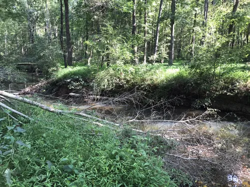 Best Hikes and Trails in Wilson Park | AllTrails