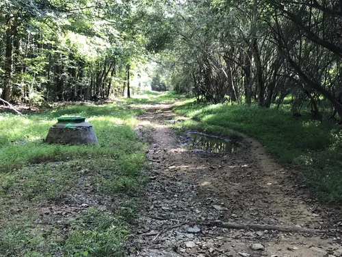 Best Hikes and Trails in Wilson Park | AllTrails