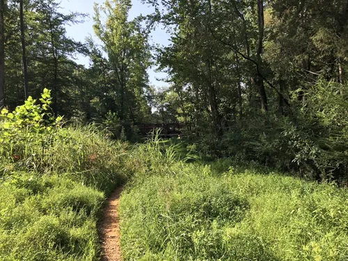 Best Hikes and Trails in Wilson Park | AllTrails