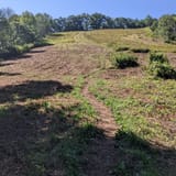 Siler Bald via Appalachian Trail, North Carolina - 680 Reviews, Map ...