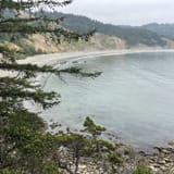 Cape Sebastian Trail, Oregon - 736 Reviews, Map | AllTrails