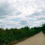 Prairie Spirit Rail Trail, Kansas - 89 Reviews, Map | AllTrails