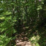 Siler Bald via Appalachian Trail, North Carolina - 680 Reviews, Map ...