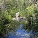 Tenaja Falls, California - 657 Reviews, Map | AllTrails