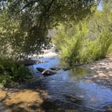 Tenaja Falls, California - 657 Reviews, Map | AllTrails