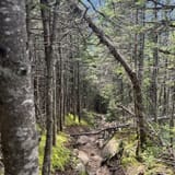 Carter Notch Hut, Dome, and 19 Mile Brook Trail, New Hampshire - 435 ...
