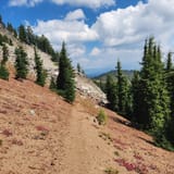 Union Peak Trail, Oregon - 81 Reviews, Map | AllTrails