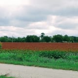 Prairie Spirit Rail Trail, Kansas - 99 Reviews, Map | AllTrails