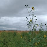 Prairie Spirit Rail Trail, Kansas - 99 Reviews, Map | AllTrails