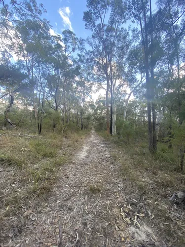 Best Hikes and Trails in Cattai National Park | AllTrails