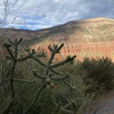 Gilman Tunnels Trail, New Mexico - 92 Reviews, Map | AllTrails