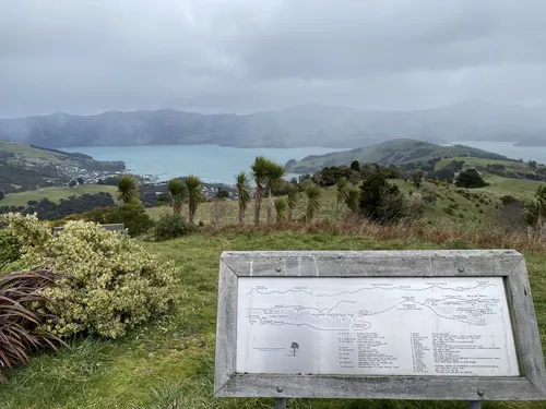 Best Hikes and Trails in Akaroa Heritage Park | AllTrails
