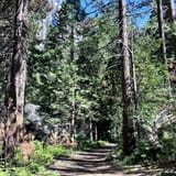 Valley Loop Trail, California - 541 Reviews, Map | AllTrails
