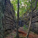 Elk River Hiking Trail, Kansas - 664 Reviews, Map | AllTrails