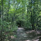 Aman Park Loop, Michigan - 1,217 Reviews, Map | AllTrails