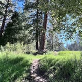 Valley Loop Trail, California - 541 Reviews, Map | AllTrails