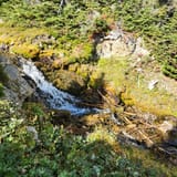 Bow Summit Viewpoint, Alberta, Canada - 737 Reviews, Map | AllTrails