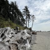 Second Beach, Washington - 1,486 Reviews, Map | AllTrails