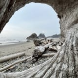 Second Beach, Washington - 1,486 Reviews, Map | AllTrails