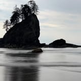 Second Beach, Washington - 1,486 Reviews, Map | AllTrails