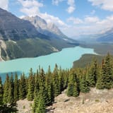 Bow Summit Viewpoint, Alberta, Canada - 737 Reviews, Map | AllTrails