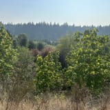 Japanese Gulch Loop Trail, Washington - 1,193 Reviews, Map | AllTrails