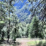 Valley Loop Trail, California - 581 Reviews, Map | AllTrails