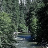 Valley Loop Trail, California - 572 Reviews, Map | AllTrails