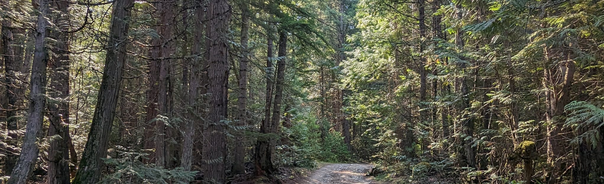 Glade Falls, British Columbia, Canada - 85 Reviews, Map | AllTrails