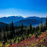 Mount Sawyer via Tonga Ridge Trail, Washington - 355 Reviews, Map ...