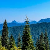 Mount Sawyer via Tonga Ridge Trail, Washington - 355 Reviews, Map ...