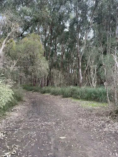 Best Hikes and Trails in Paganoni Swamp Reserve | AllTrails