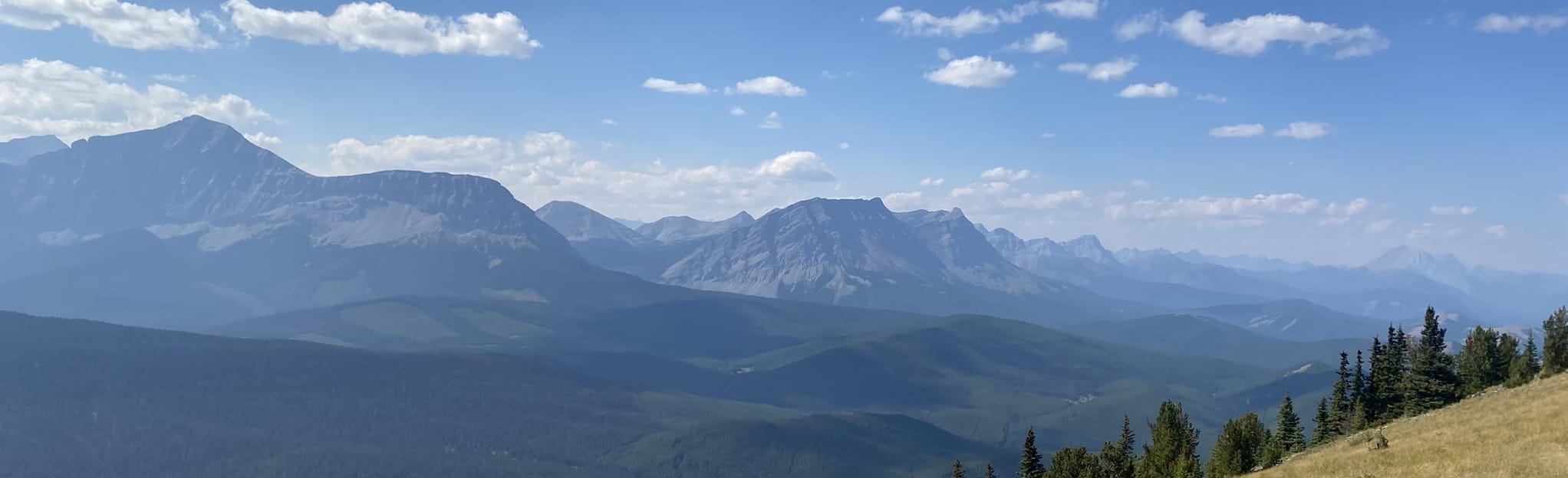 Raspberry Ridge Lookout, Alberta, Canada - 356 Reviews, Map | AllTrails