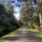 Maroondah Dam Explorer Trail, Victoria, Australia - 74 Reviews, Map ...