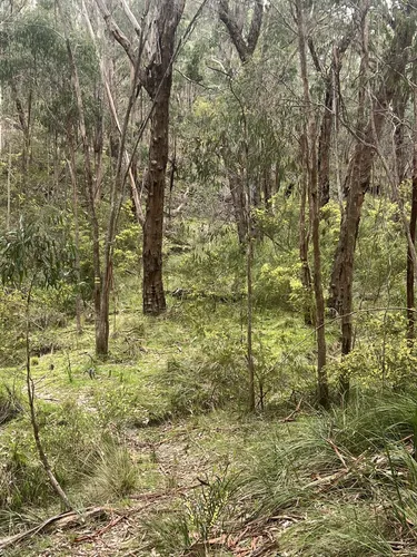 Best Hikes and Trails in Enfield State Park | AllTrails