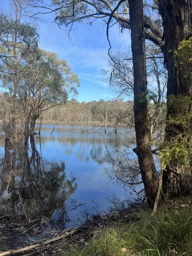 Best Hikes and Trails in Enfield State Park | AllTrails