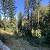 Coast Ridge Road to Terrace Creek Trail, California - 627 Reviews, Map ...