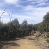 Mount Everard Track, Victoria, Australia - 22 Reviews, Map | AllTrails