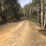 Mount Everard Track, Victoria, Australia - 22 Reviews, Map | AllTrails