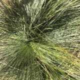 Mount Everard Track, Victoria, Australia - 22 Reviews, Map | AllTrails