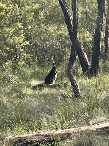 Best Hikes and Trails in Enfield State Park | AllTrails