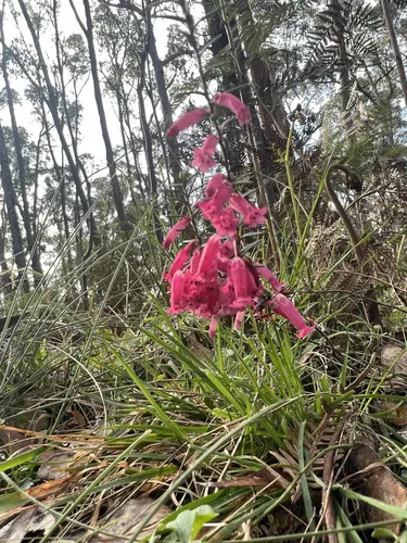 Best Hikes and Trails in Enfield State Park | AllTrails