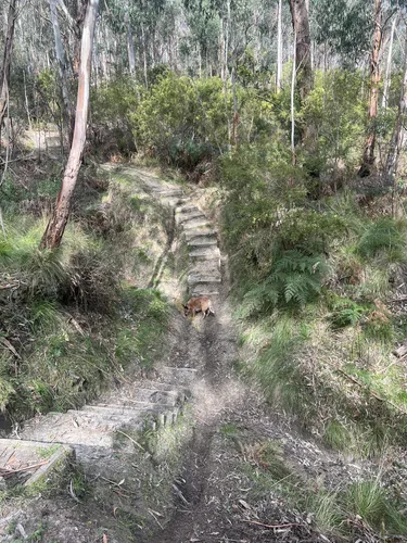 Best Hikes and Trails in Enfield State Park | AllTrails