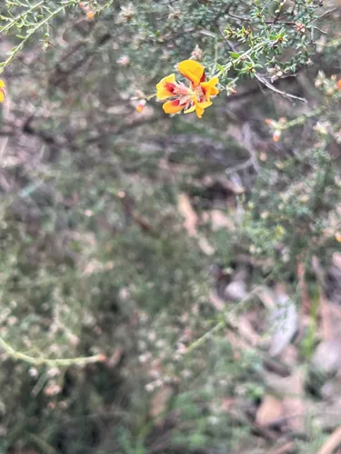 Best Hikes and Trails in Enfield State Park | AllTrails